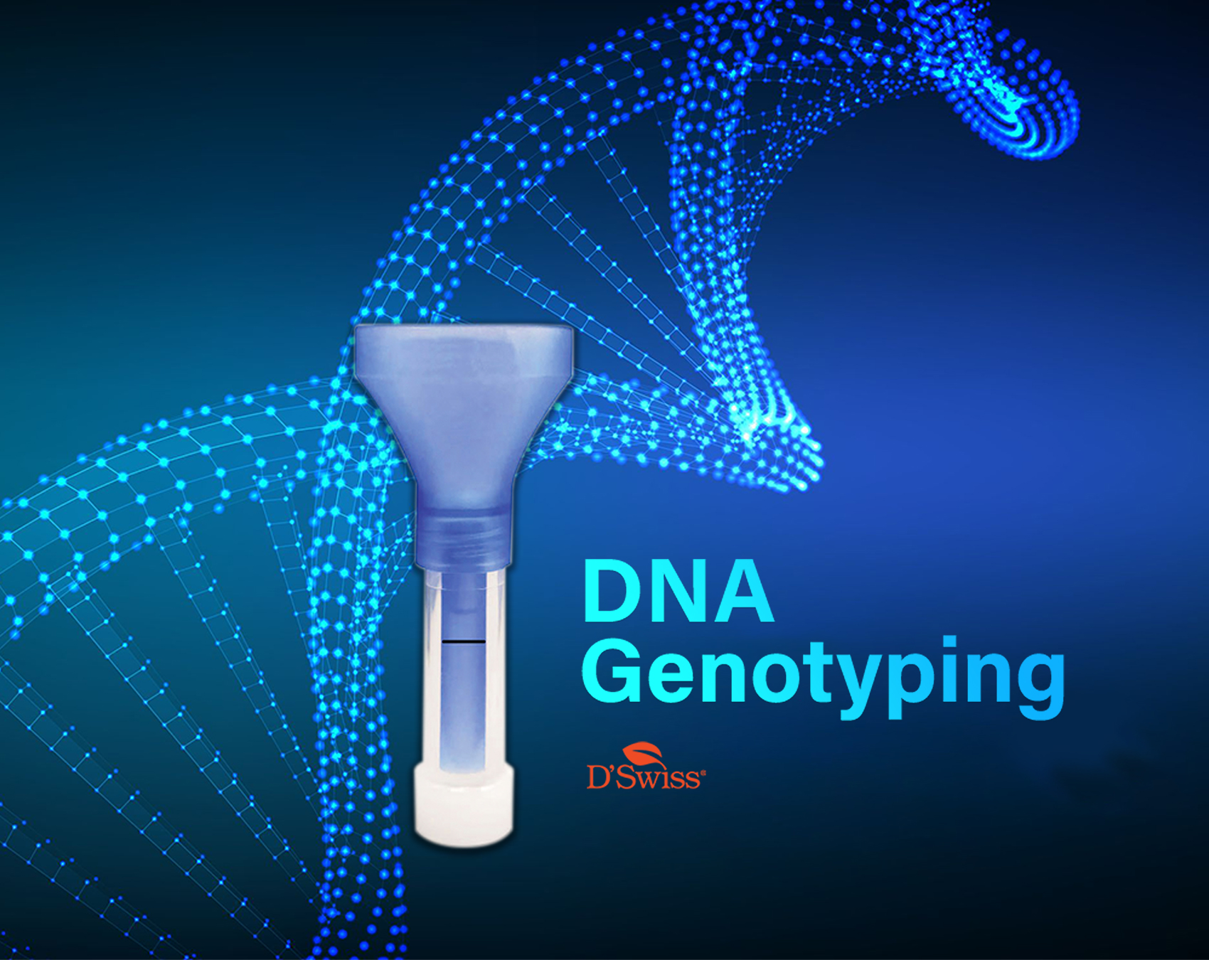 Products & Services - DSwiss